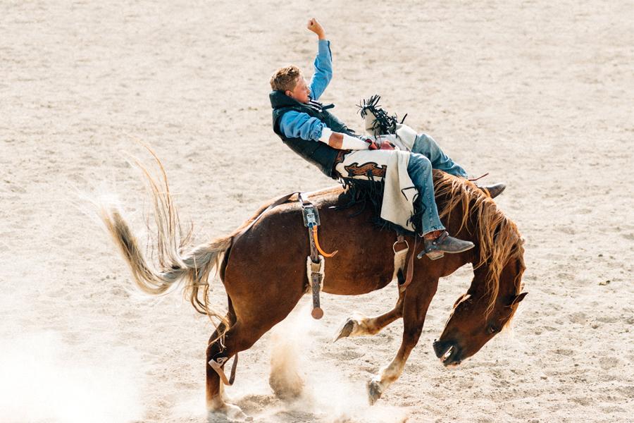 Baylor’s Roots at the Houston Rodeo | Baylor Magazine | Baylor University